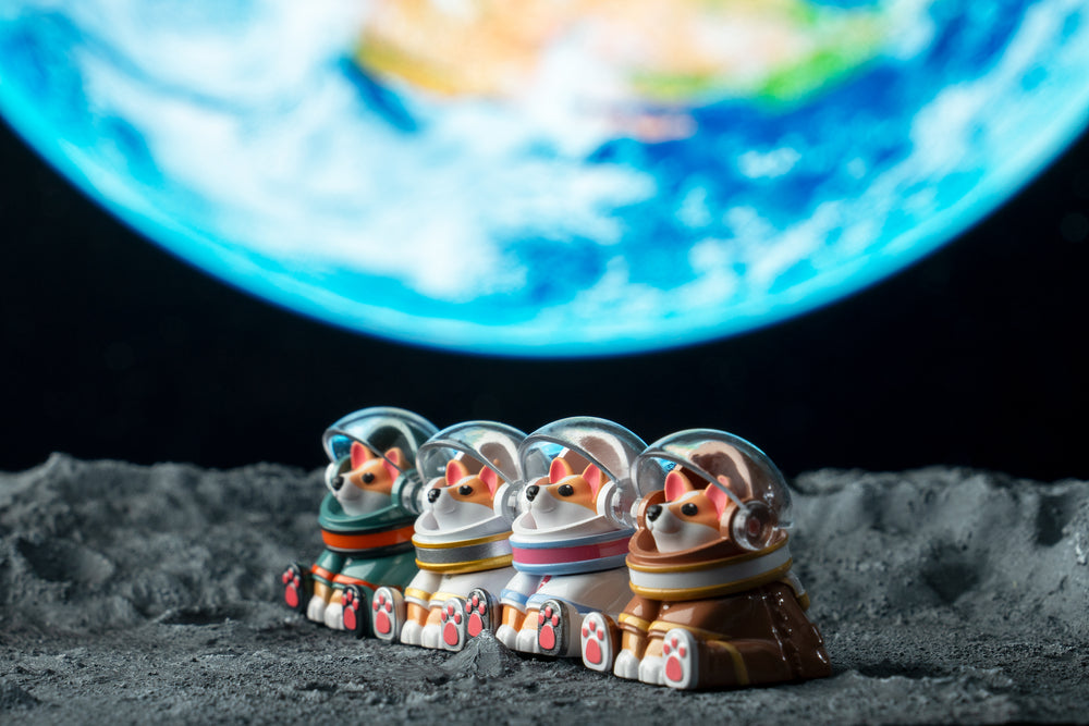 Astro Corgi Blind Box (Keycap)